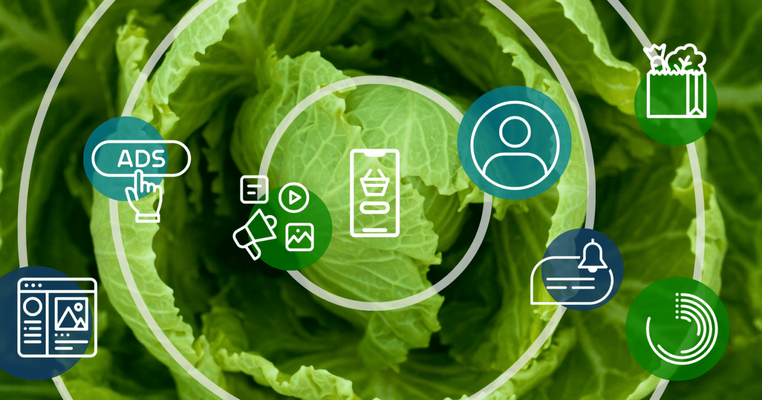 Maximize eCommerce Growth with Grocery Shopping Technology